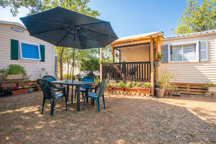 Salamandre - Bauduen