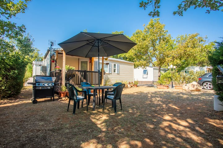 Salamandre - Les Salles-sur-Verdon