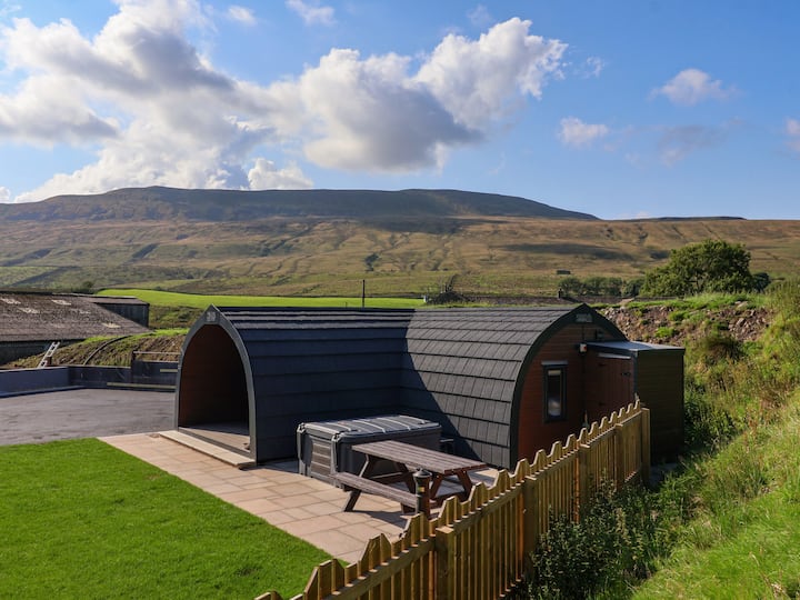 Lapwing - Horton in Ribblesdale