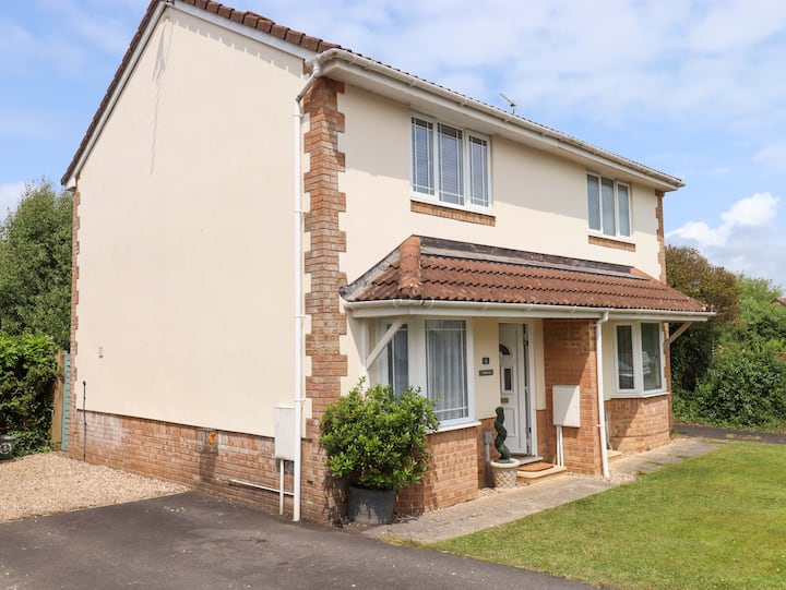 Hedgehogs - Barnstaple