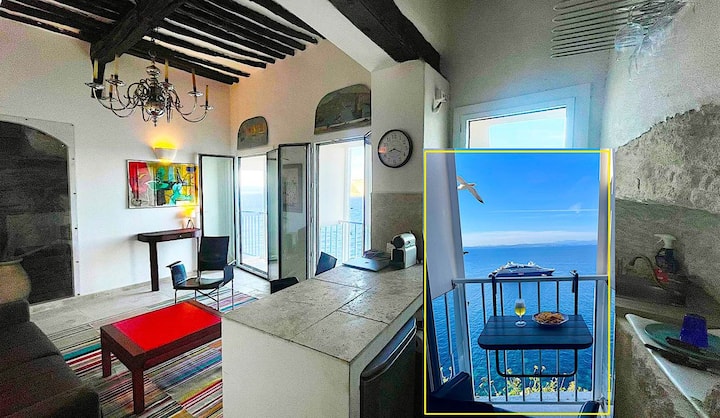 Fleur De Falaise - Bonifacio