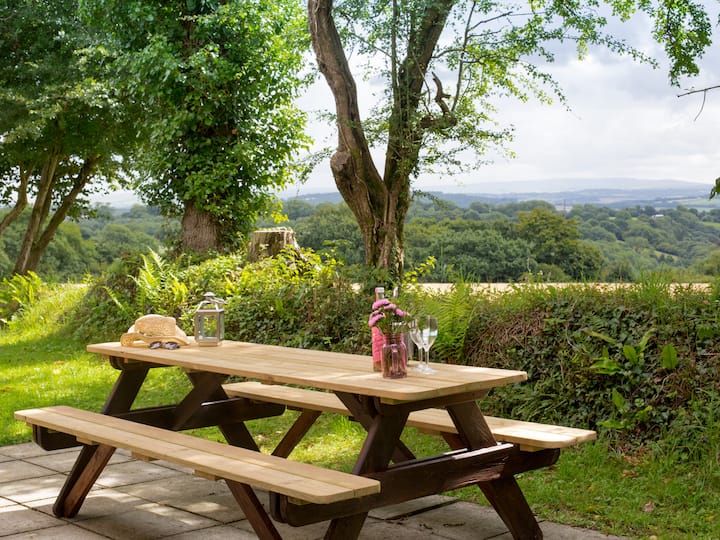Dartmoor View - デボン