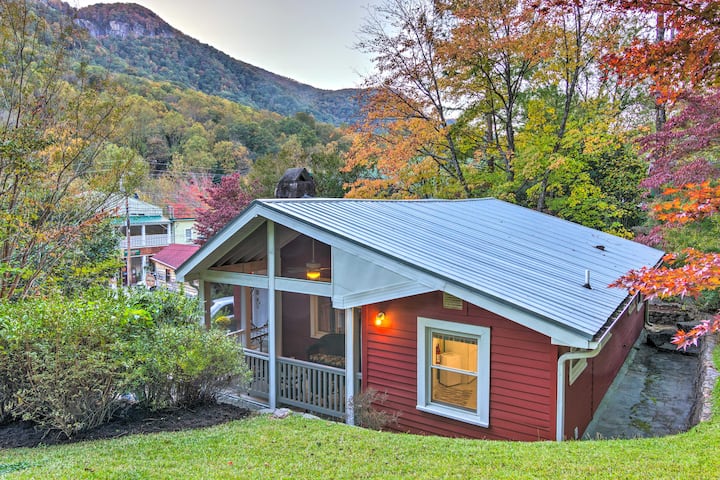 A Cozy Chimney Rock Cottage - Chimney Rock, NC