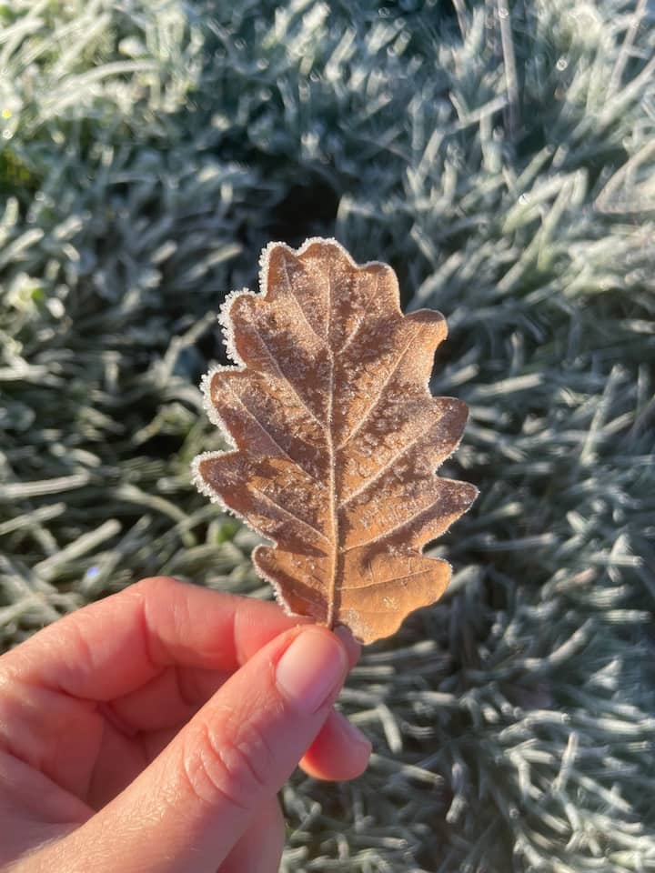 Wohnung Magda - Frammersbach