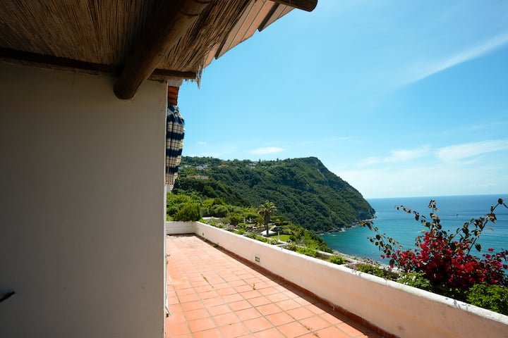 Villa La Pigrizia - Forio