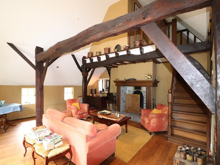 Villa à Ommen Avec éTang Privé - Slagharen