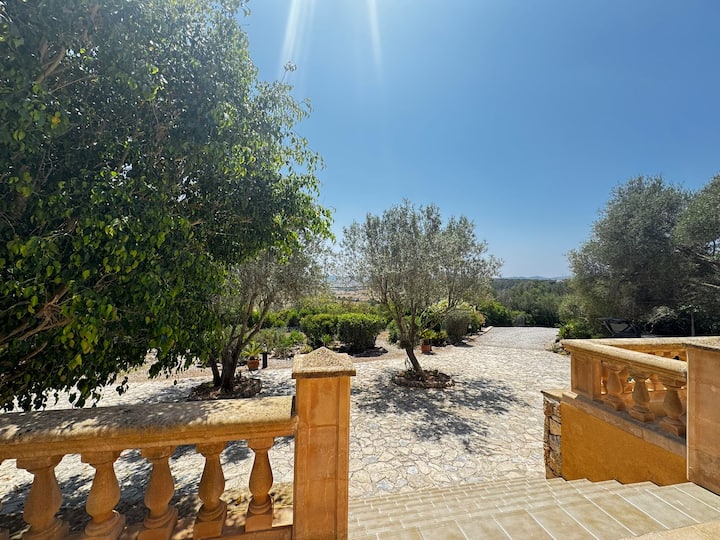 Ses Tanquetes - Algaida