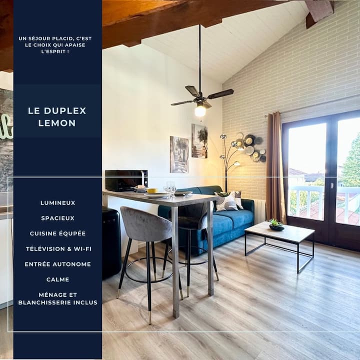 Le Duplex Lemon – Proche Centre Ville - Mont-de-Marsan