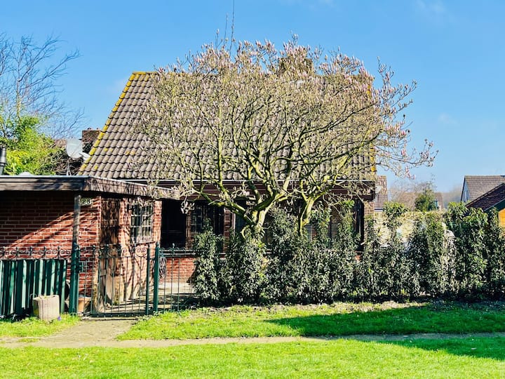 Bungalow Aéré Au Bord De L'eau - Lisse