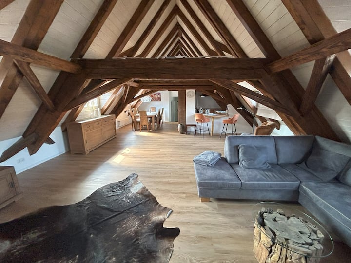 Große Ferienwohnung 10 Min Von Europa Park - Ettenheim
