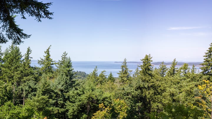 Orcas Island, Holiday House #275 - Orcas Island, WA