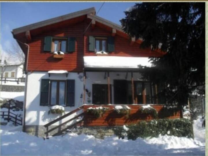 Primula - Santo Stefano d'Aveto