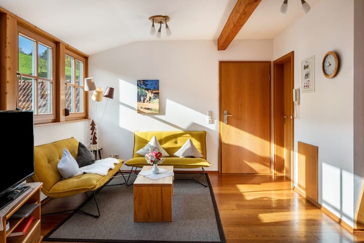 Panoramablick - Friburgo, Alemania