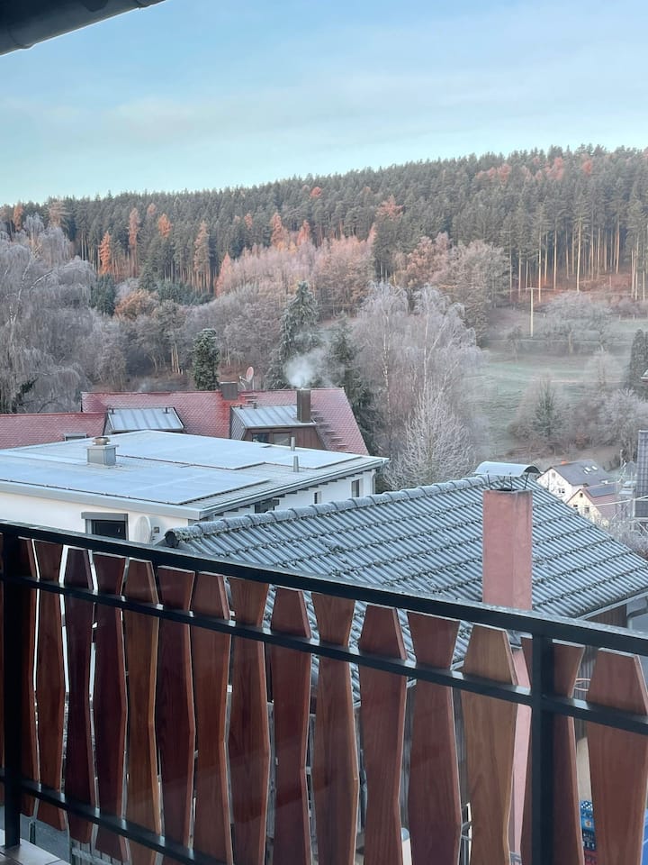 Wohnung Natascha - Frammersbach