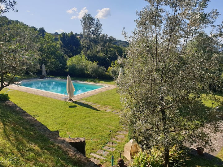 Il Mulino Nel Bosco - Arezzo