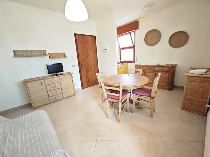 Venere - Lignano Sabbiadoro