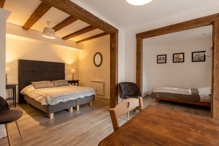 Chambre Supérieur (Domaine Des Remparts) - Sélestat