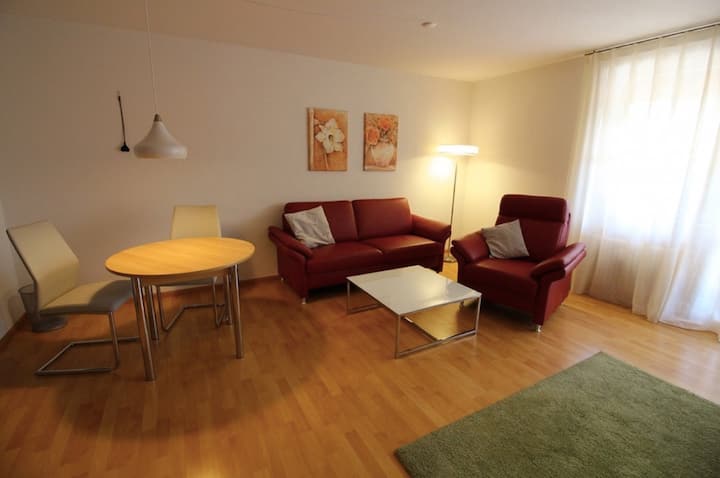 2 Zimmer Appartement 30 - Bad Krozingen