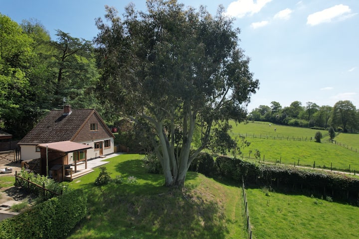 Nursery Cottage - Shere