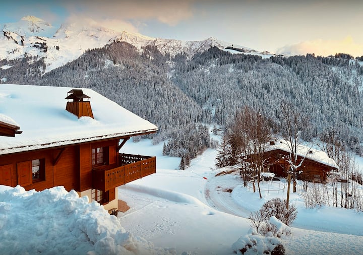 Pause Alpine Pour 8 Avec Spa - La Clusaz