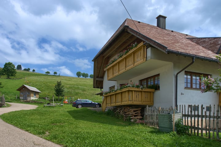 Mittlerer Itzenwaldhof - Heimkehr - Münstertal/Schwarzwald
