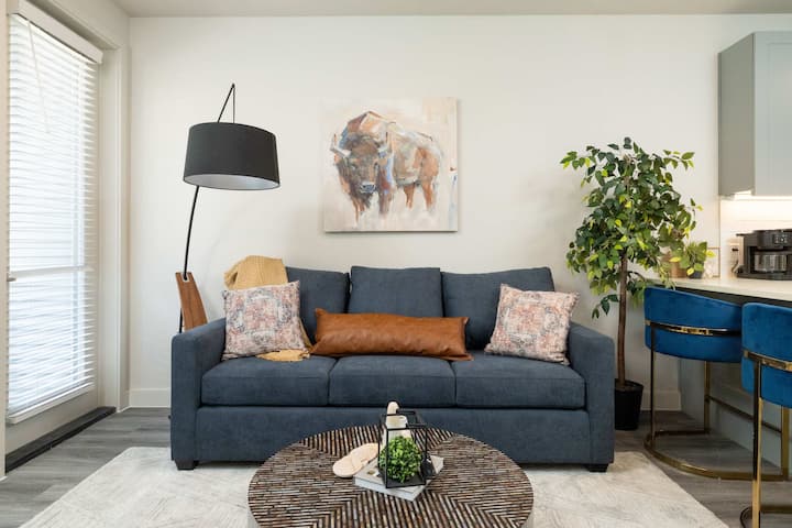 Downtown Apartments - World Cup Fun! - Fort Worth, TX