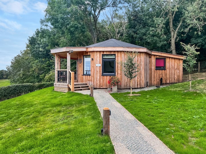 The Nest - Uk50122 - Rhyl