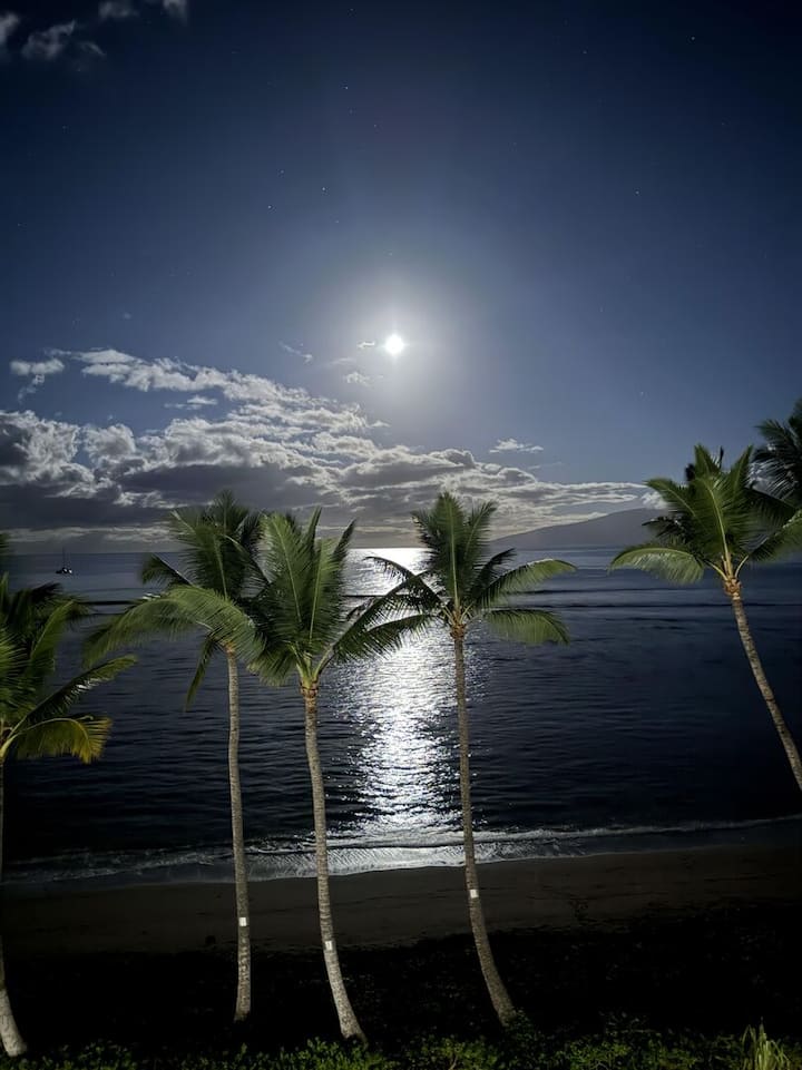 New Listing Lahaina Shores 533 Oceanfront Retreat - Lahaina, HI