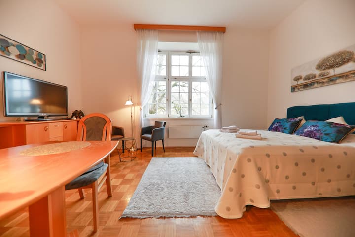 Studio Apartment 22 - Rogaška Slatina