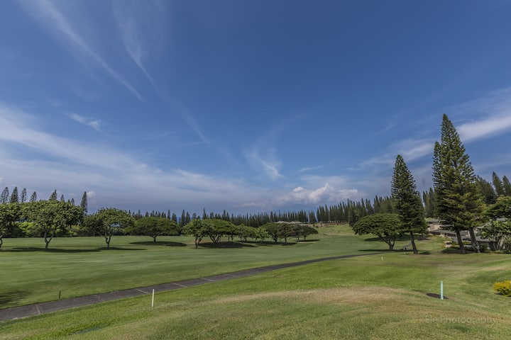 Kgv 15t2 A 1bd Offering Golf And Sunset Views - Kapalua, HI