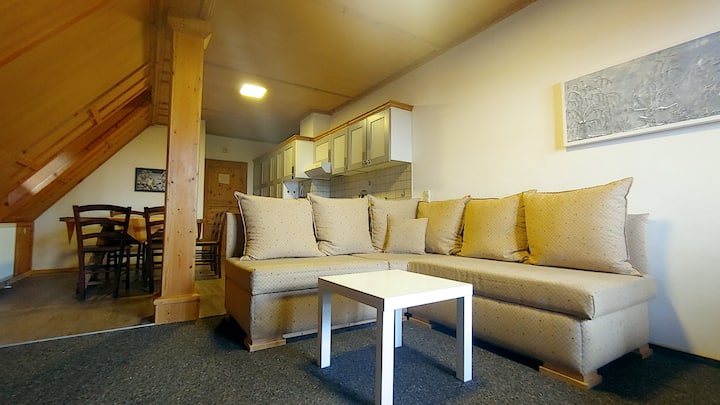 Holiday Apartment "Luisenburg" – 2-6 Guests - Warmensteinach