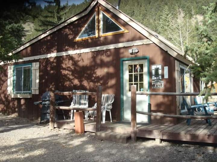 Lake Cabin #9 - Lake City, CO