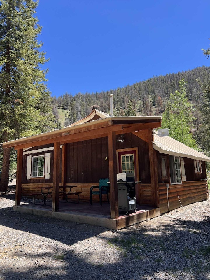 Lake Cabin #8 (Alpine Hideout) - Lake City, CO