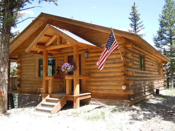 Argenta Falls Cabin - Nestled Among The Trees With - Lake City, CO