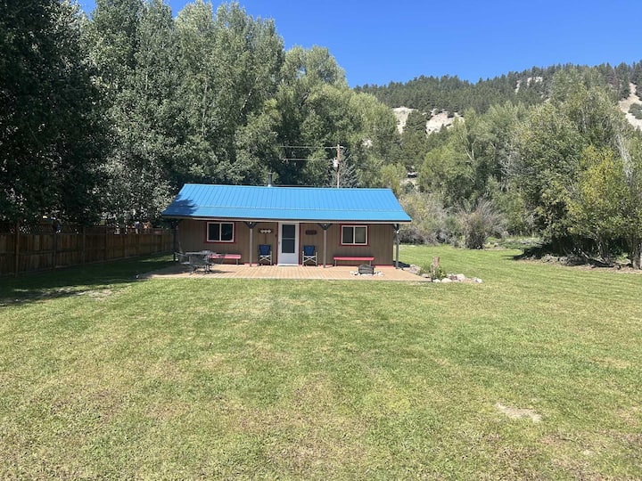 Silver Lining - Great Cabin On A Quiet Street Adja - Lake City, CO