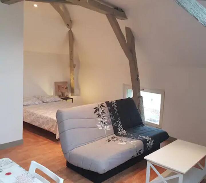 Studio 7 3 Min Du Futuroscope - Chasseneuil-du-Poitou