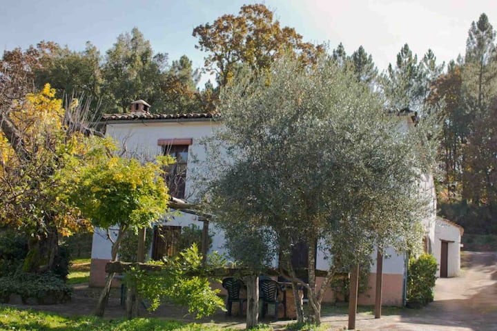 Los Cascos - Aracena