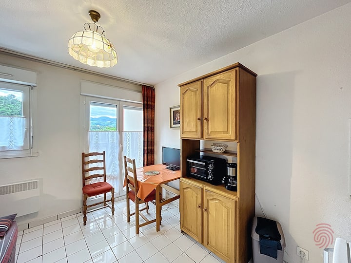 Studio Lumineux Avec Balcon, Animaux Admis - Lamalou-les-Bains