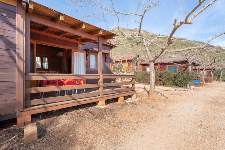 Falaguera Cabaña 2 - Tavernes de la Valldigna