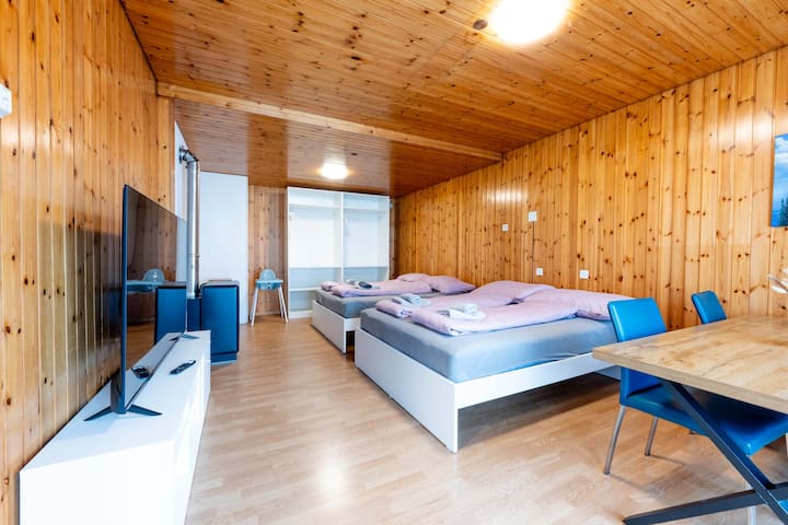 Apartment With Lake Thun View, 20min To Interlaken - Spiez