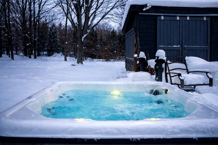 Willow & Waves | Hot Tub | Billiard | Gym - South Haven, MI