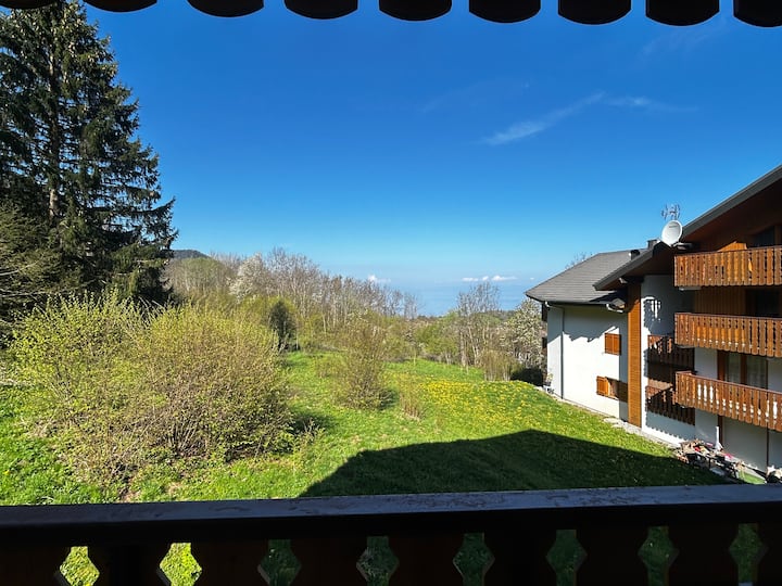 Appartement Thollon-les-mémises, 2 Pièces, 4 Pers. - Thollon-les-Mémises