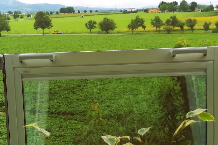 Green Apartment - Bad Krozingen