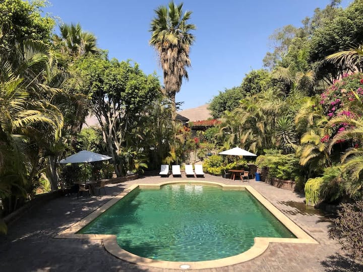 Nature Inspired 4br W/ Pool In Santa Eulalia - Santa Eulalia