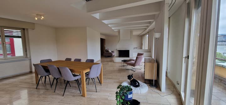 Duplex Apartment With Rooftop And Sauna - Zurique