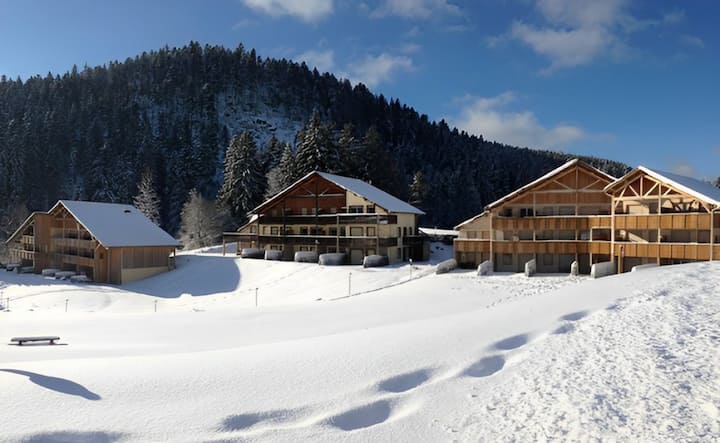 Coup De Cœur Appartement Chalet - Gérardmer