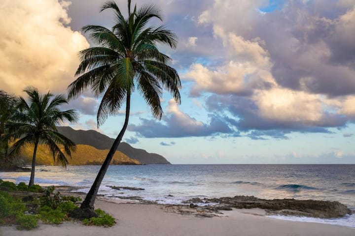Beachfront Escape | Pool. Dining + Free Parking - Saint Croix