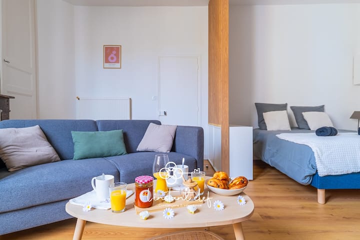 Cocon Lumineux Proche De La Gare – Animaux Ok - Le Mans