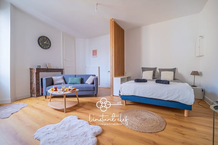 Cocon Lumineux Proche De La Gare – Animaux Ok - Le Mans