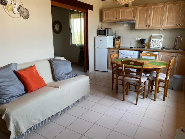 Appartement Aigues-mortes - Saint-Laurent-d'Aigouze